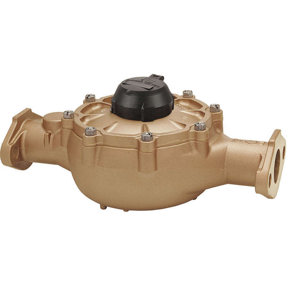 Badger M25-750-L-N-P-B-TS-GA-XX | 20CL48 Flowmeter | Raptor Supplies ...