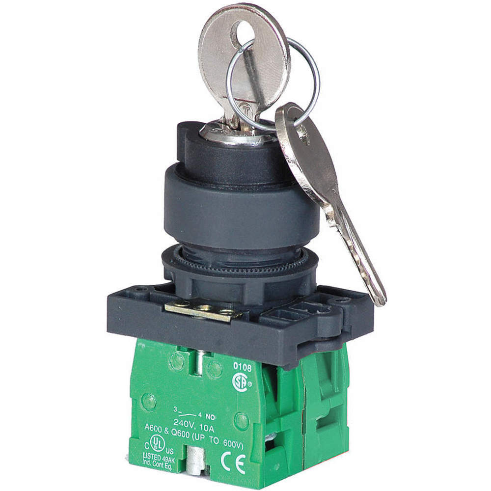 Dayton 30G265 | Non-Illuminated Selector Switch, 22 mm Size, 2 Position, Metal, 1NO | Raptor ...