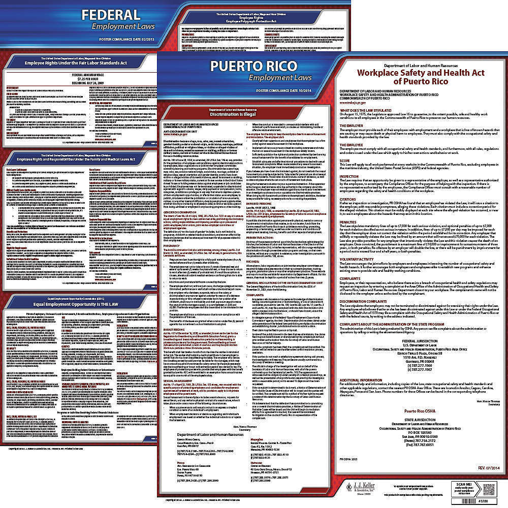 Jj Keller 100-PR-1 | 36EV01 | Labor Law Poster Federal and State PR ENG ...