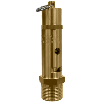 Kingston Valves 118CSS-5-000 | Pop Safety Valve, 3/4 Inch Size, 25-300 ...