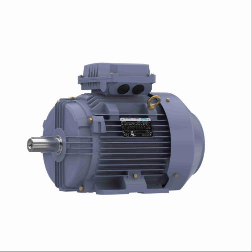 Marathon Motors TCA5P53AE211GAA009 | General Purpose Motor, 7 1/2 hp, 3 ...