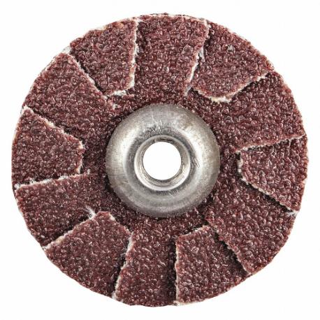 Merit Abrasive Radial Bristle Discs | Raptor Supplies Worldwide